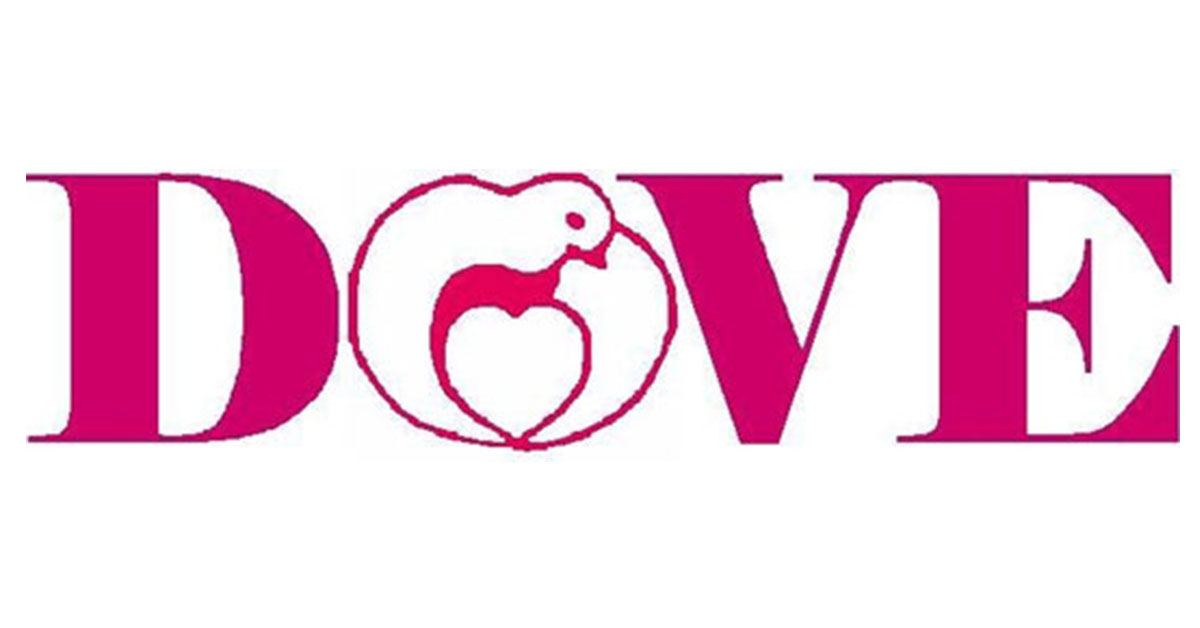 Rural Project Summary: Domestic Violence Enhanced Home Visitation ...