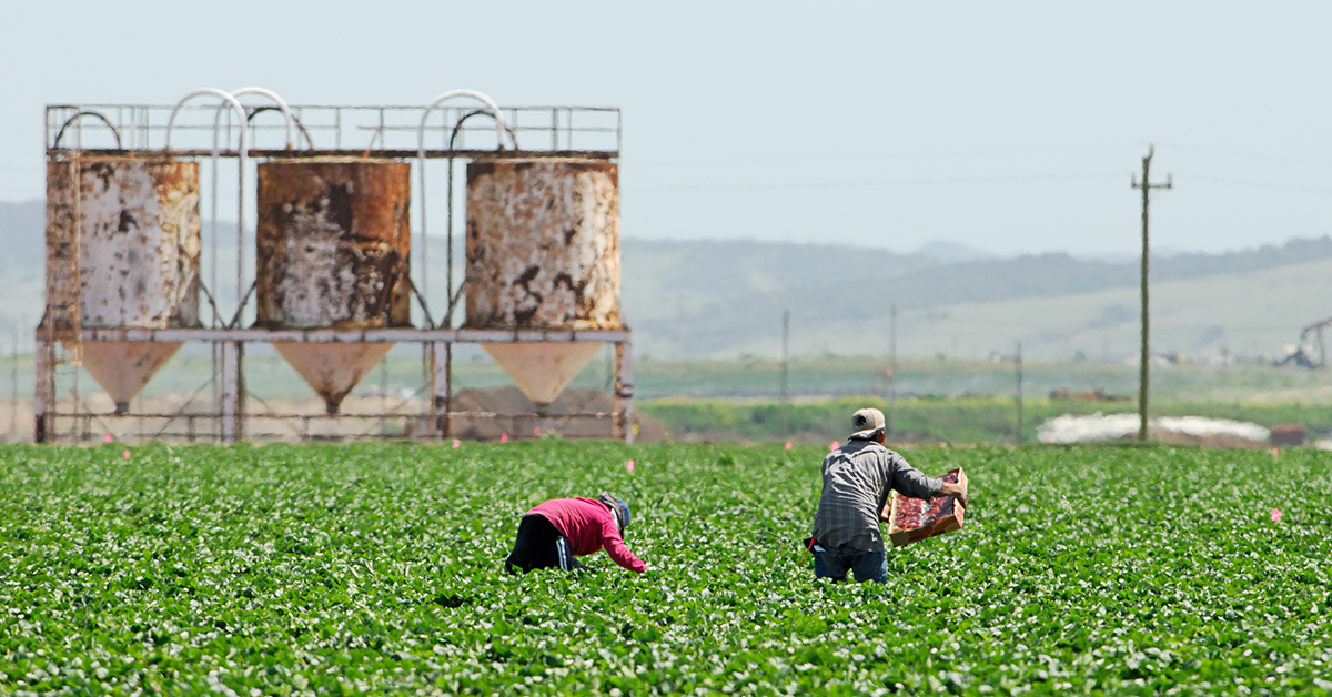 "This Is Not My Grandmother's Summer": Mitigating the Health Impacts of ...