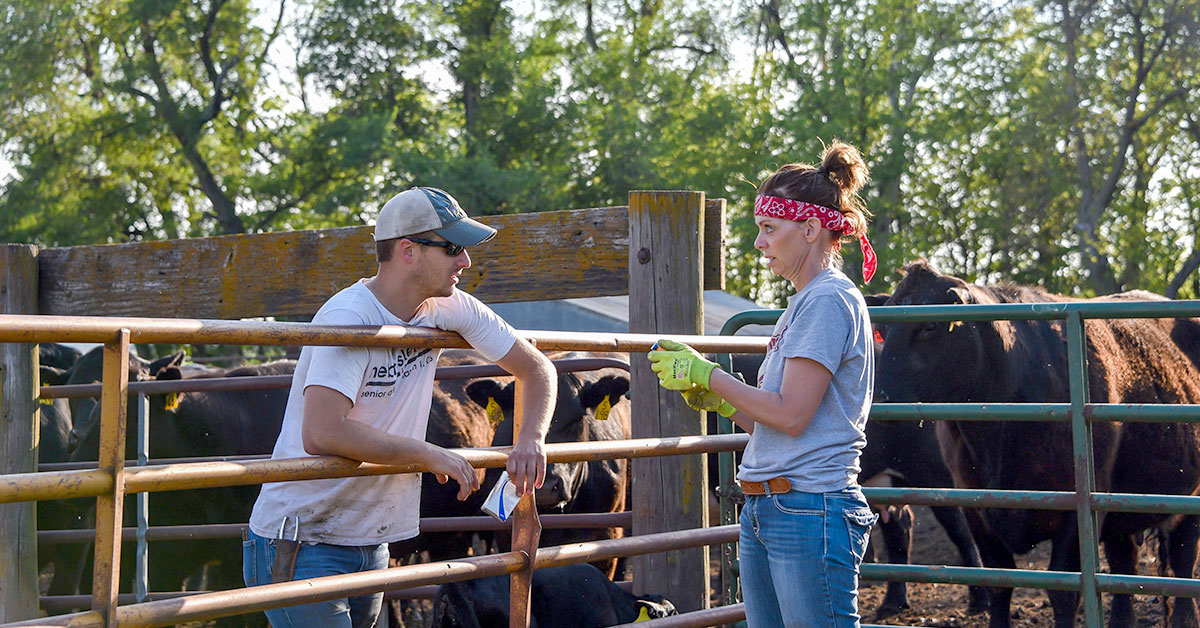 "Hopeful Forecasting": Farmers Showing Increased Interest in Mental ...